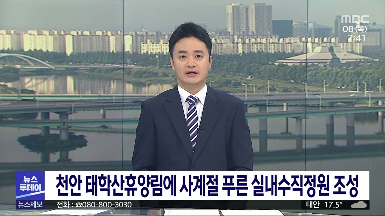 천안 태학산휴양림에 사계절 푸른 수직정원 조성
