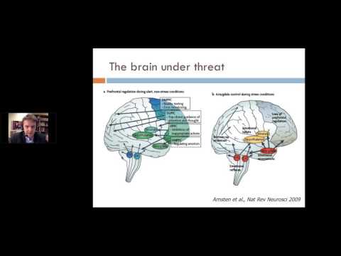 Narrative Exposure Therapy - Frank Neuner