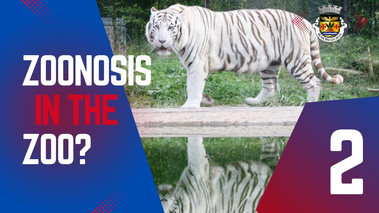 Zoonosis in the Zoo? - Episode 2