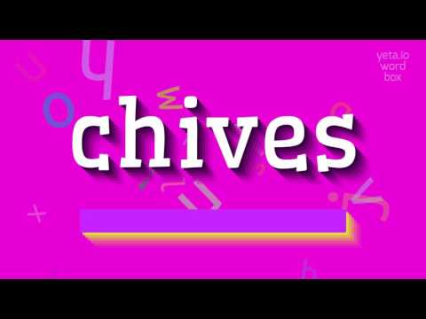 How to say "chives"! (High Quality Voices)