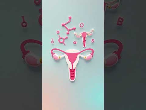 Hormonal Imbalance and Fibroids