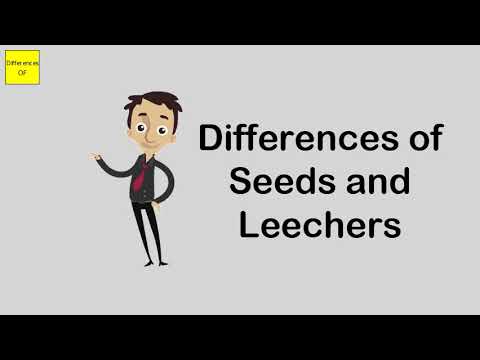 Differences of Seeds and Leechers
