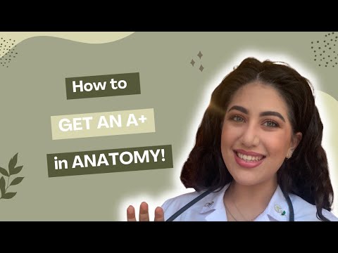 How I get A+ in anatomy | My anatomy study routine
