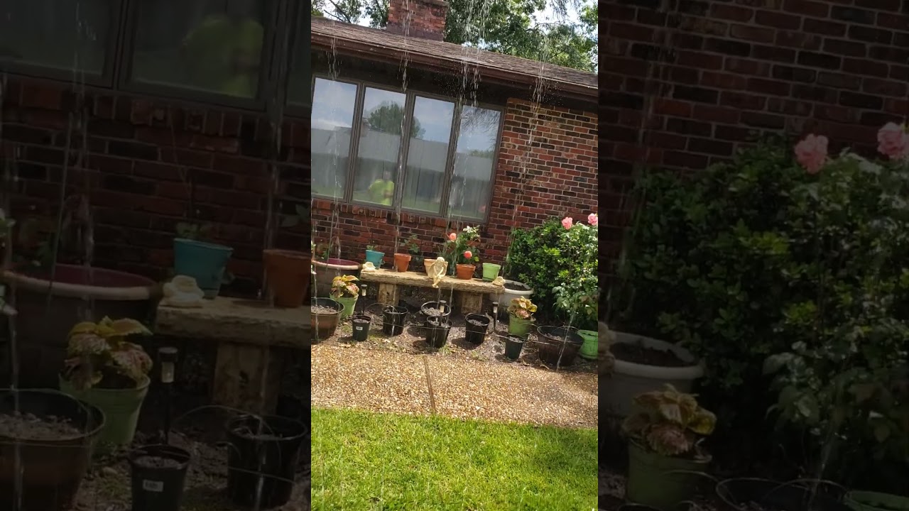 Roses and flowers May 24 2025 Welcome,