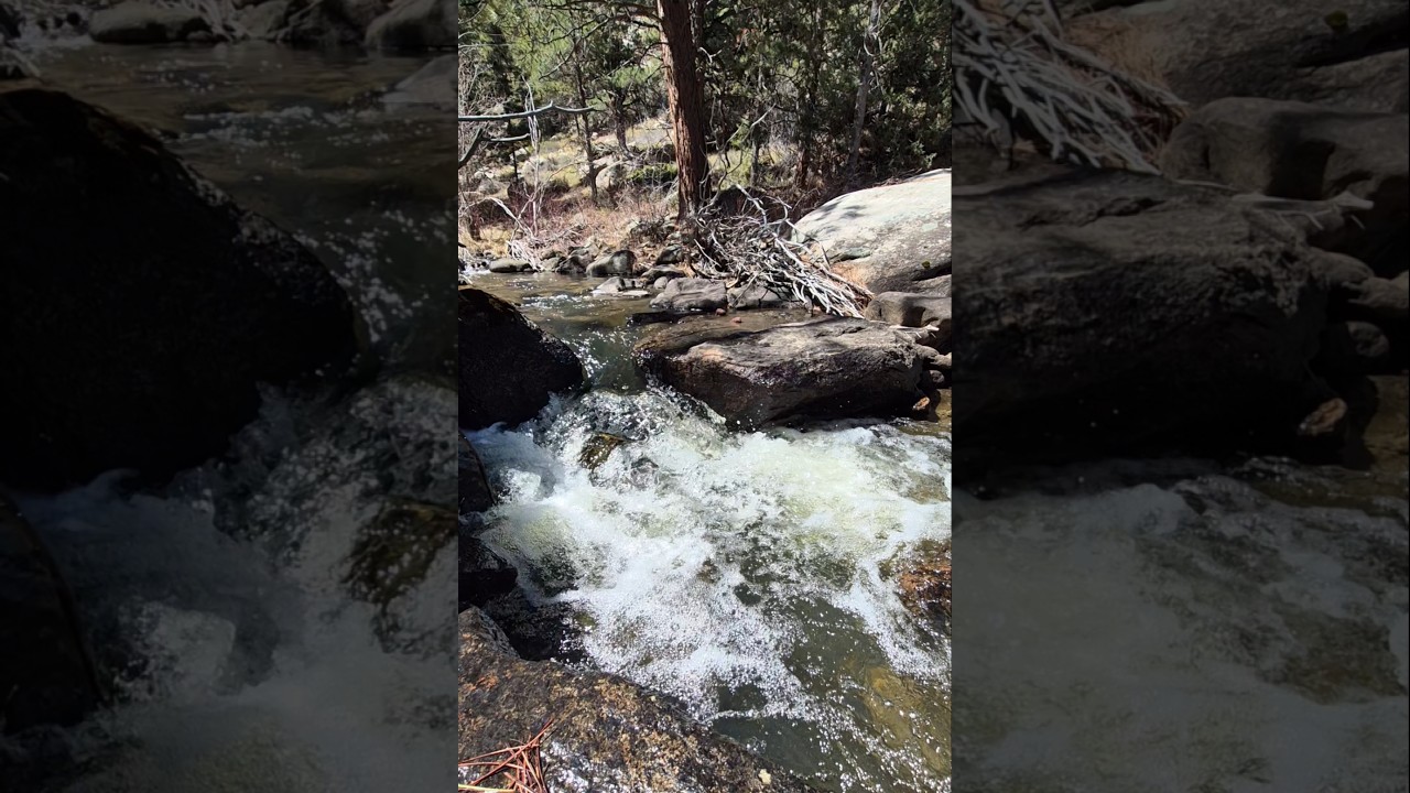 AMAZING #water #creek #nature #forest #foryou #mountains #stream #travel #relax #wyo #reels #shorts