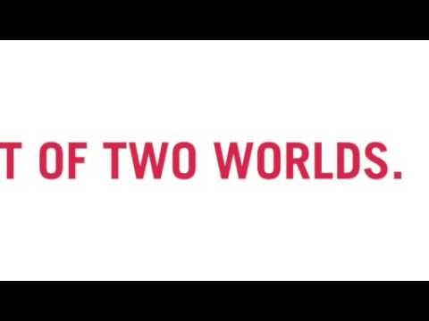 The best of the Best - VISION 2008