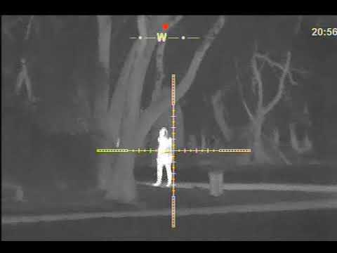 Pard SA35LRF Clear Definition