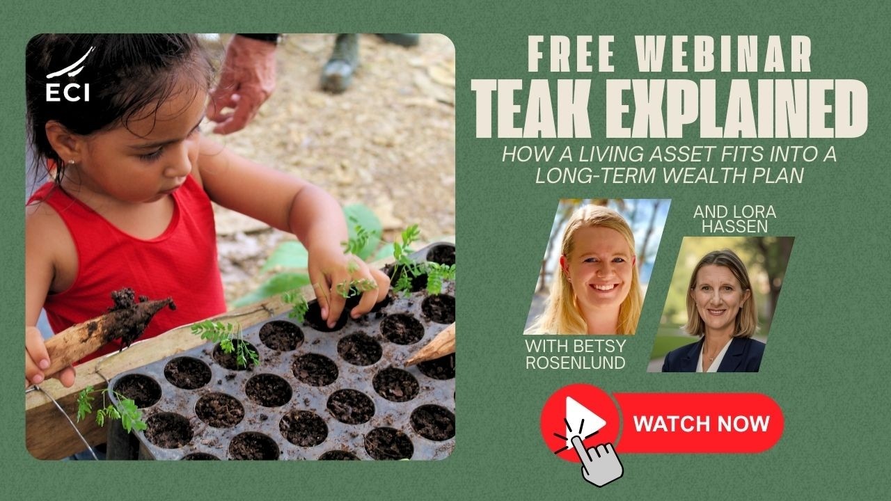 Teak Investment in Panama Explained: How a Living Asset Builds Long-Term Wealth