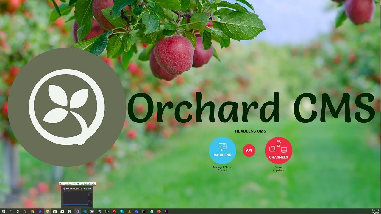 Orchard Core Headless CMS with Angular 9 Client using GraphQL