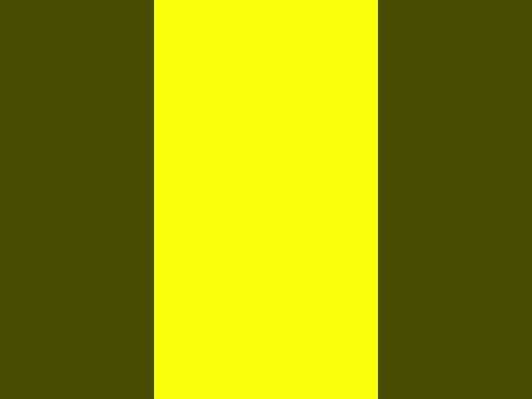 Plain 💛 Yellow Screen #yellow #yellowscreen #colorfuljourney #chromakey #animation #rgbcolors #cmyk