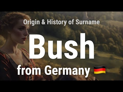 Bush from Germany π©πͺ - Meaning, Origin, History & Migration Routes of Surname