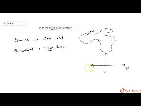 Is force a scalar or Vector?