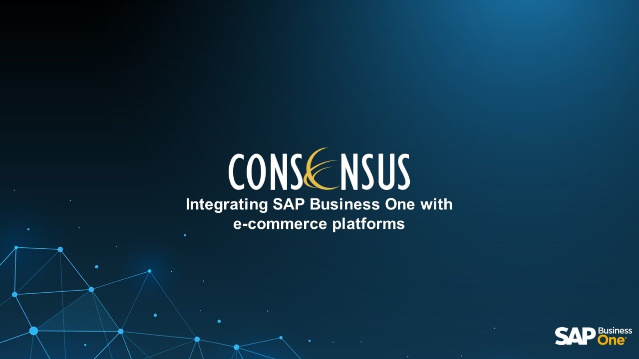 Integrating SAP Business One with e commerce platforms