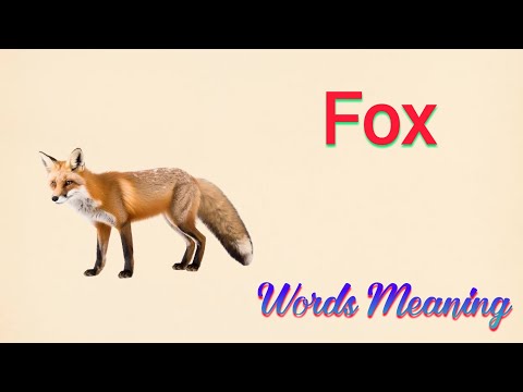 Fox meaning in hindi | Fox ka matlab kya hota hai | Fox means | Fox ka arth | spelling