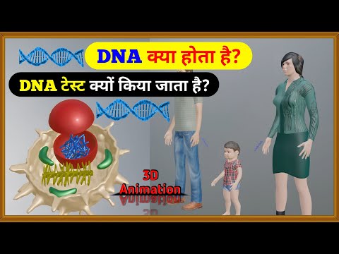 DNA क्या है | DNA टेस्ट क्यों किया जाता हैं | What is DNA | 3D Animation 🔥🔥🔥