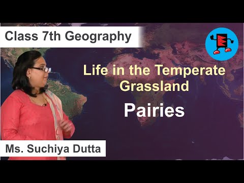 CBSE Class 7 Geography Life in the Temperate Grassland Pairies |Extraminds