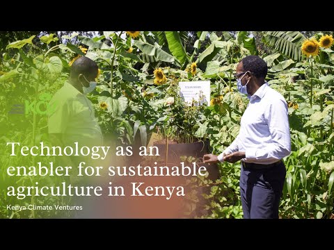 Lentera Africa is using technology to advance Kenya's agricultural sector