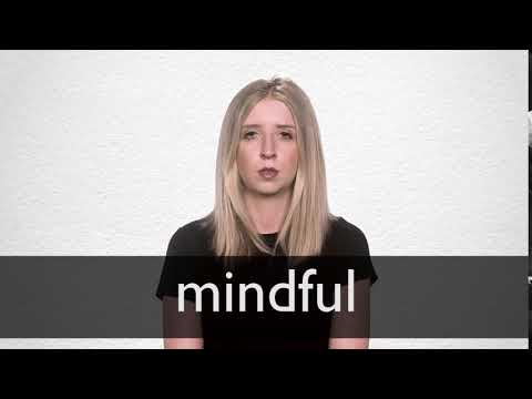 MINDFUL Synonyms | Collins English Thesaurus