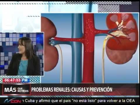 Problemas Renales: Causas y Prevención – lomasvisto.do