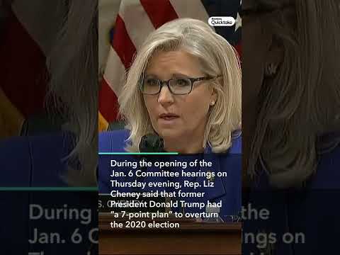 Liz Cheney: Trump Had '7-Point Plan' to Overturn 2020 Election