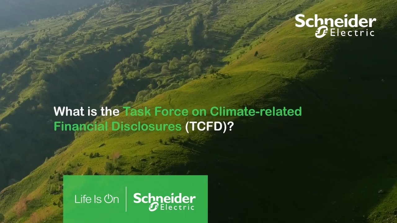 What is the Task Force on Climate-Related Financial Disclosures (TCFD)? | Schneider Electric