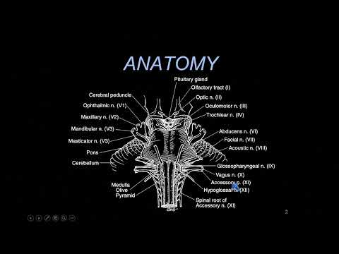 Imaging Cranial Nerves VII - XII by Blake A. Johnson, M.D., FACR