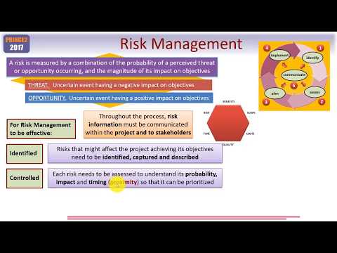 PRINCE2 2017 Risk Theme Overview