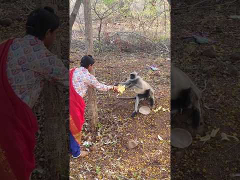 Rakesh Bonam Anna ???? monkey ???? trending ???? viral ???????? Rakesh Bonam Goud
