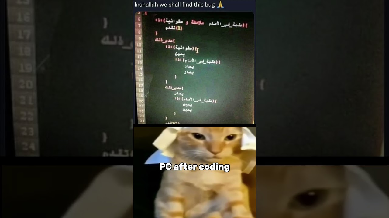 Coding Cat😼
