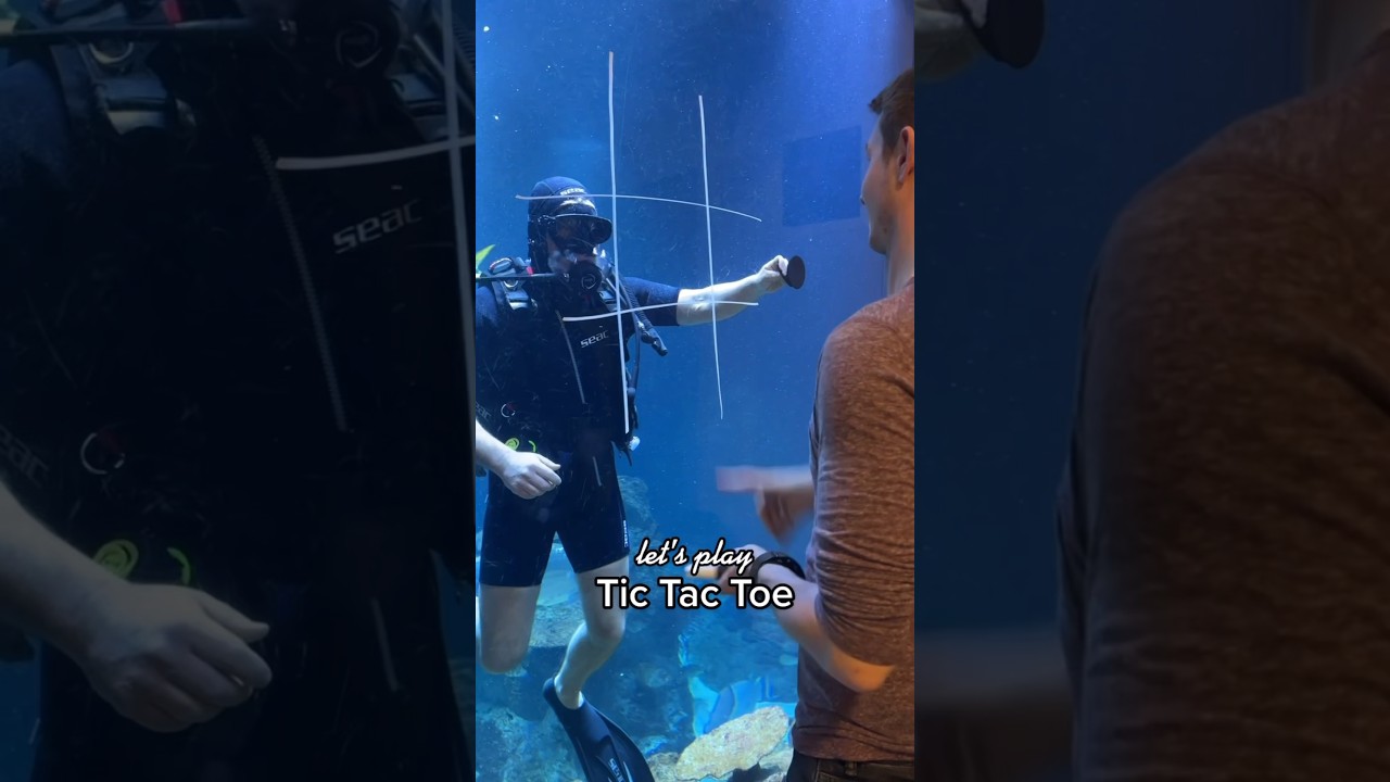 BEST OF-Videos Platz 1 🌟 Tic Tac Toe unter Wasser 🤿 #hausdesmeeres #tictactoe