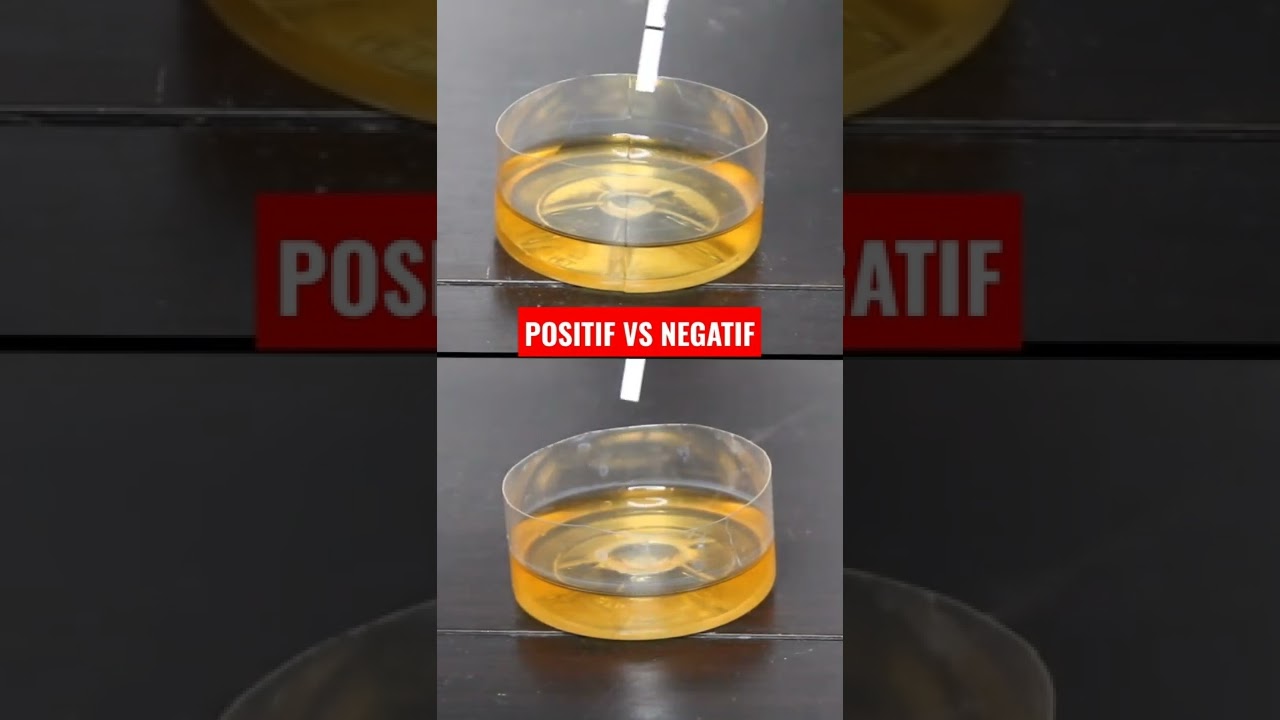DIFFERENCE BETWEEN POSITIVE VS NEGATIVE TEST PACK RESULTS