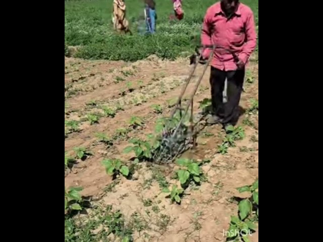 Agricultural Machines - Semi-Automatic Hand Wheel Hoe Manufacturer from ...