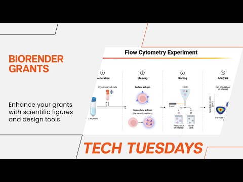 Tech Tuesday: BioRender Grants