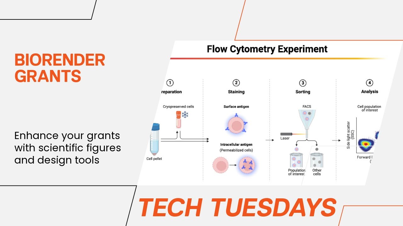 Tech Tuesday: BioRender Grants