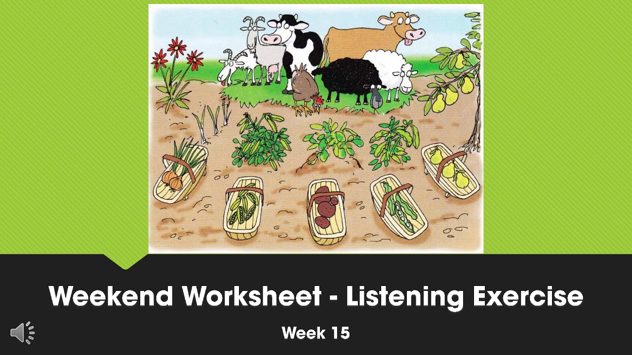 Week 15 - Weekend Worksheet - Listening Exercise