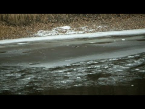 Northwoods Experience: Minnesota DNR Officers Prepared To Enforce New Garbage Law | Lakeland News