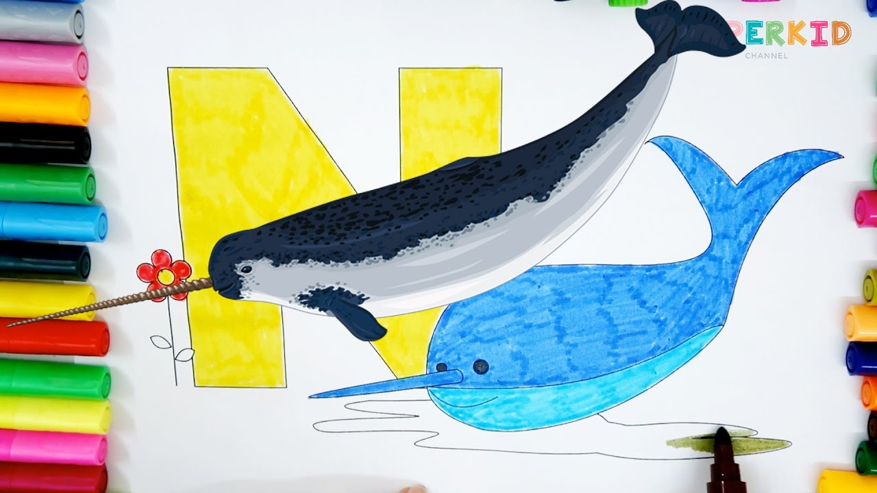Letter N for Narwhal coloring page - Learning alphabet and animals for kids and preschoolers