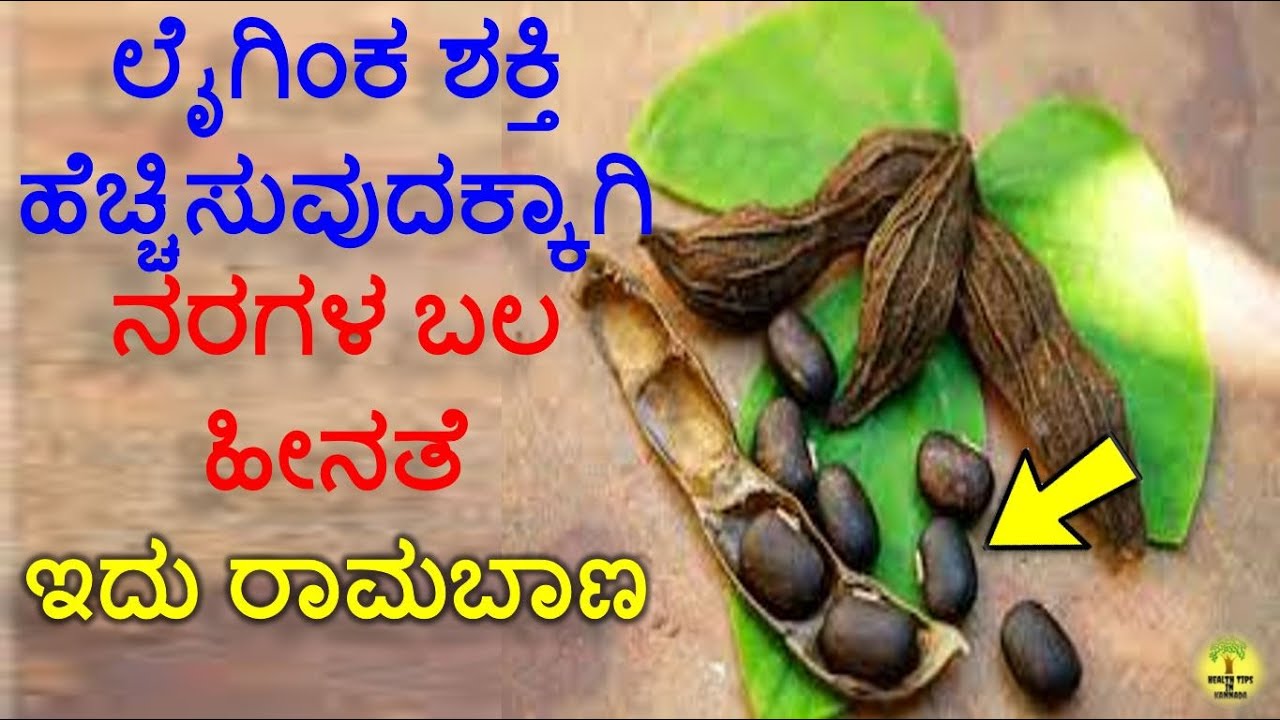 ನಸುಗುನ್ನಿ: ನರಗಳ ಬಲಹಿನತೆ, ನಿಶಕ್ತಿ ಪುರುಷರ ಶಕ್ತಿ ಹೆಚ್ಚಿಸುವುದಕ್ಕಾಗಿ ಇದು ...