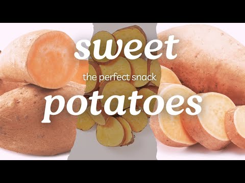 The Benefits of Sweet Potatoes for Dogs + Dog Friendly Recipe 🍠🐾 #foreverdogdiaries #dogmom