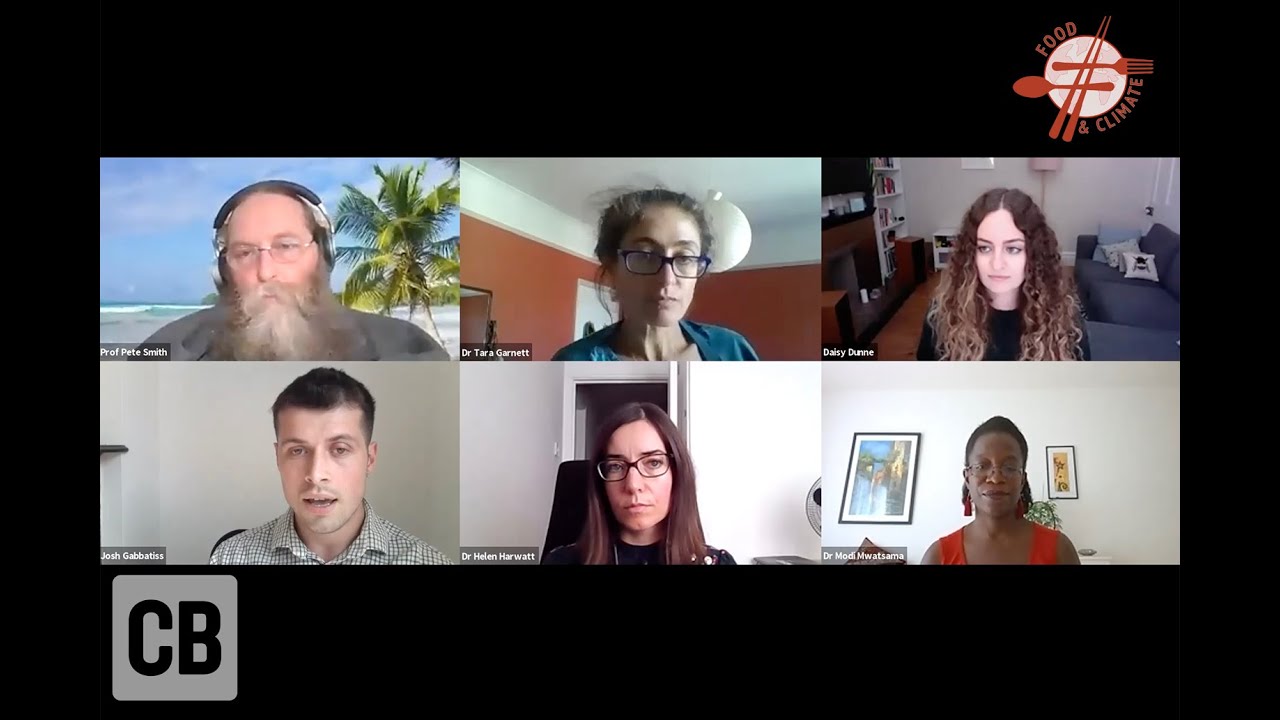 Do we need to stop eating meat and dairy to tackle climate change? - Carbon Brief webinar