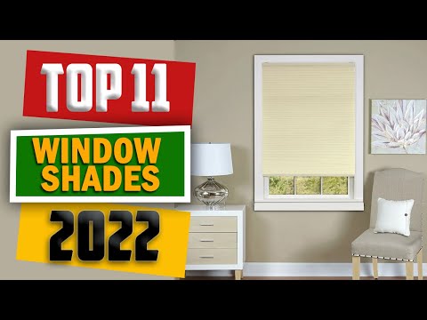 11 Best Window Shades For Home of 2022