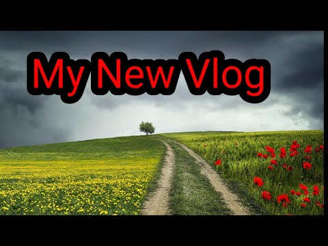My new Vlog Lal mirch ki kheti