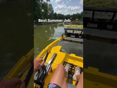 Lake Weeding!