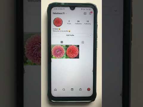 HOW and where to buy REAL Followers & Likes for Instagram