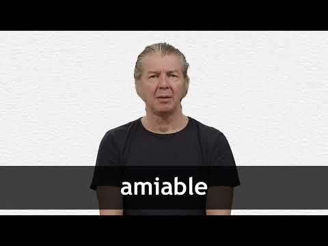 How to pronounce AMIABLE in American English