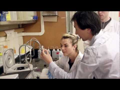 Laboratory Medicine and Pathobiology, Faculty of Medicine, University of Toronto