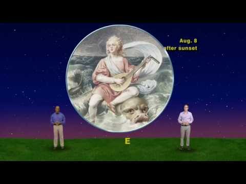 Star Gazers Aug 1-7th 1 Min