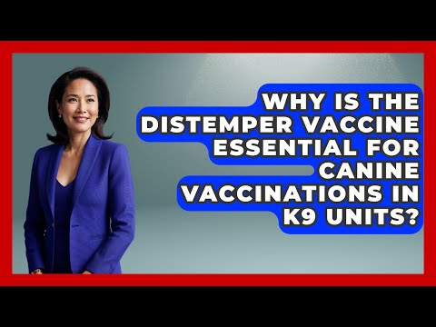 Why Is The Distemper Vaccine Essential For Canine Vaccinations In K9 Units?