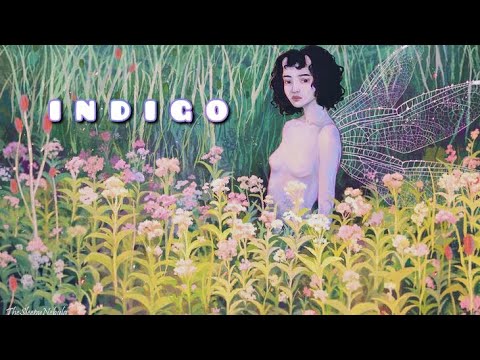 The INDIGO Ones🧚🏾‍♀️👽👾| Spiritual Tarot Card Reading 💫✨