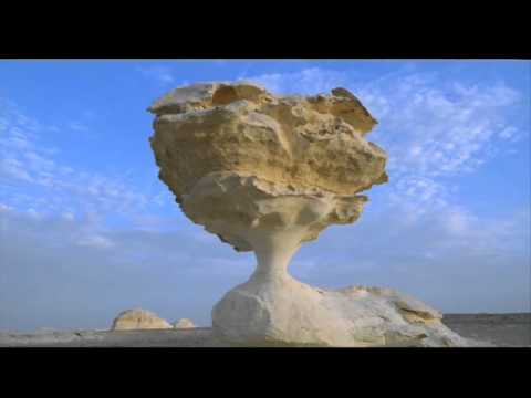 The Desert Biome